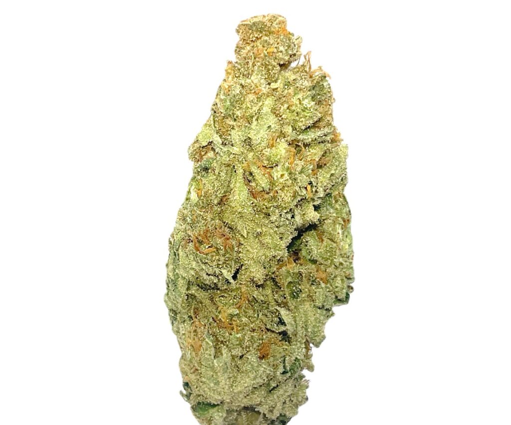 Purple Candy strain | Sun grown organic | Elphinstone Farms