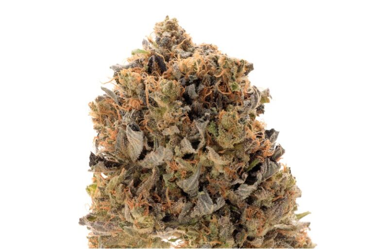 Buy Greasy Pink Bubba | LSO AAAA | 20% off 1st order Buy Greasy Pink Bubba | LSO AAAA | 20% off 1st order