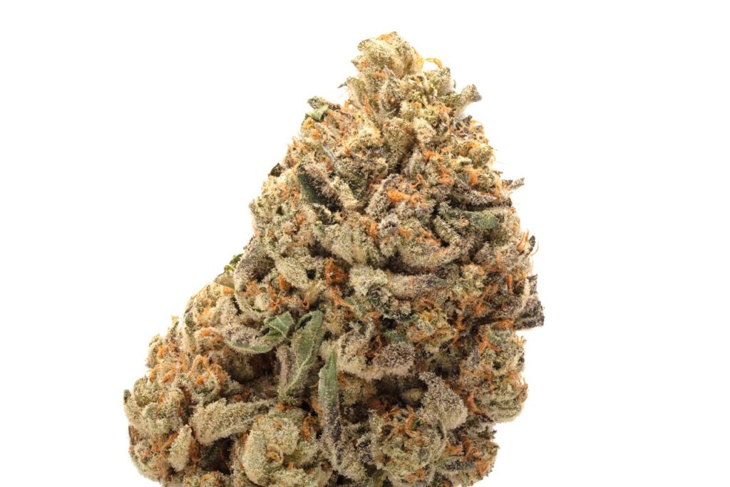 Frosty Gelato strain | Living Soil Organic 30% THC