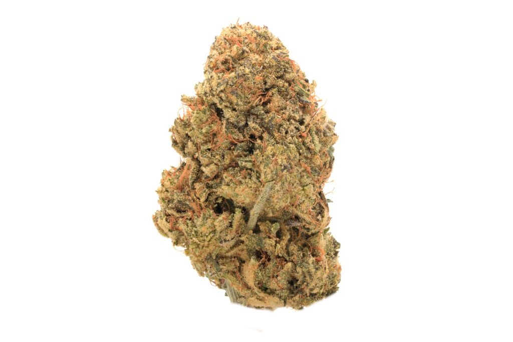 Organic Tuna Kush strain | Legendary medicinal strain
