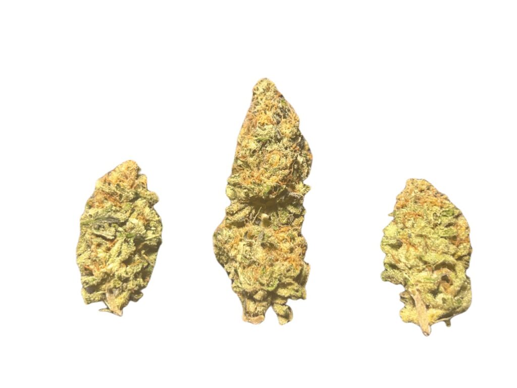 Orange Kush Cake strain | Sun Grown Living Soil Organic