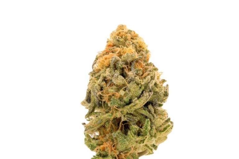 Orange Kush Cake strain | Sun Grown Living Soil Organic