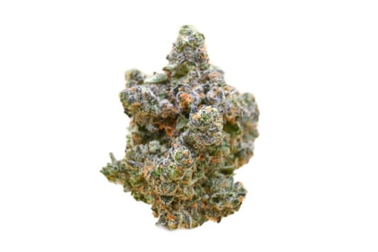 Organic Blue Runtz Strain AAAA+ | Living soil organic